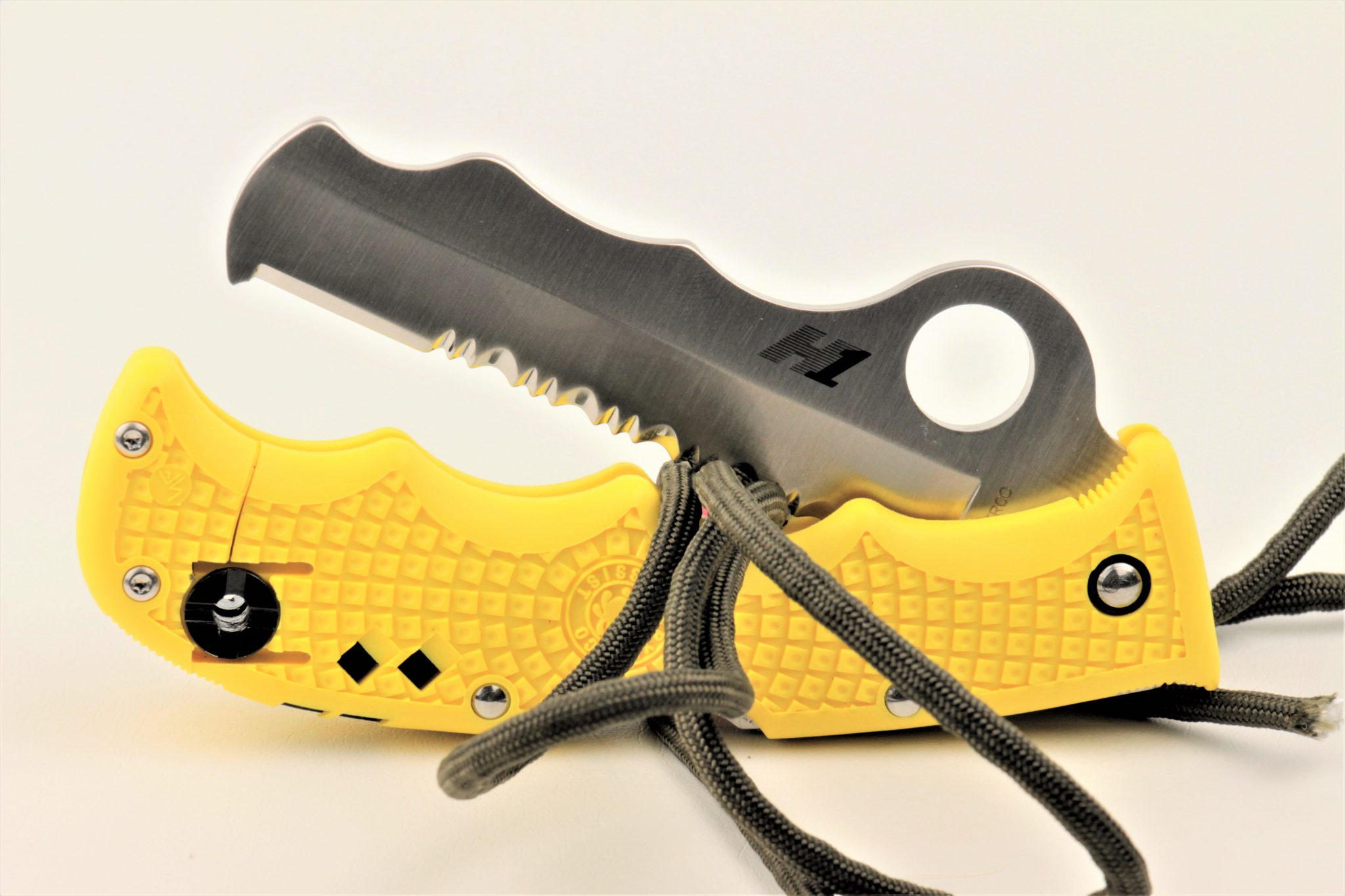 Spyderco Assist Salt to the Rescue - Knives Illustrated