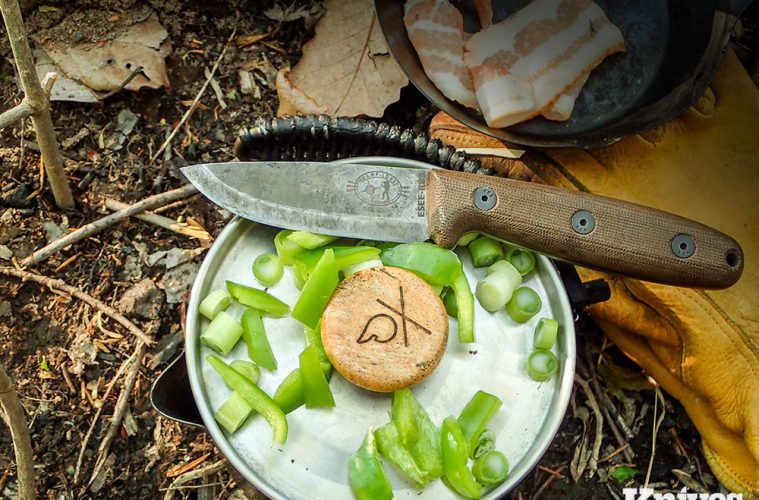 Eat Well and Use These Sharp Kitchen Knives - Knives Illustrated