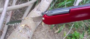 HOW TO CHOOSE THE PERFECT FIRST KNIFE - Knives Illustrated