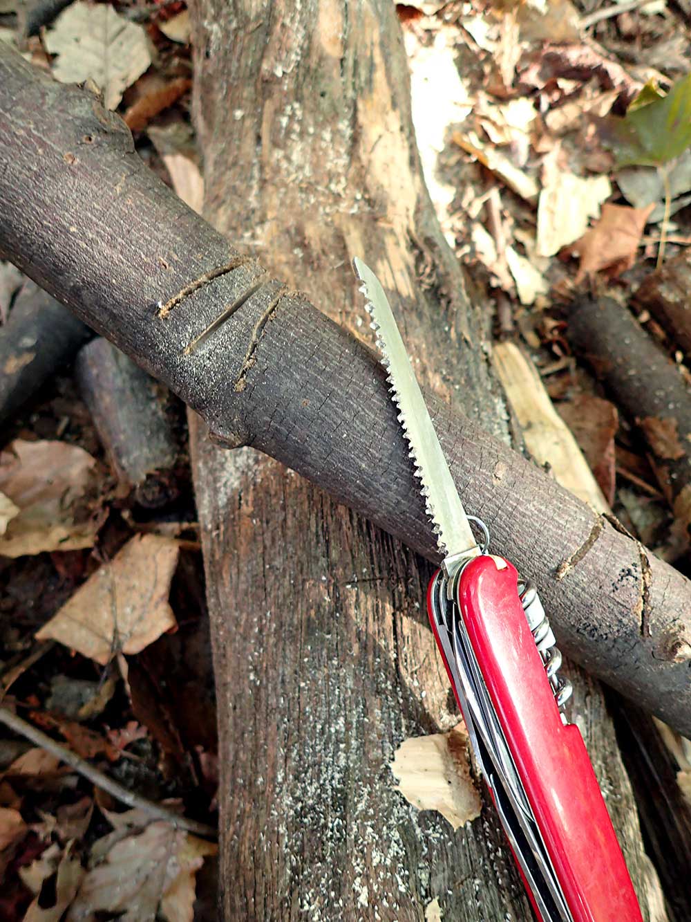 CRAFTY COOKING RIGS - Knives Illustrated